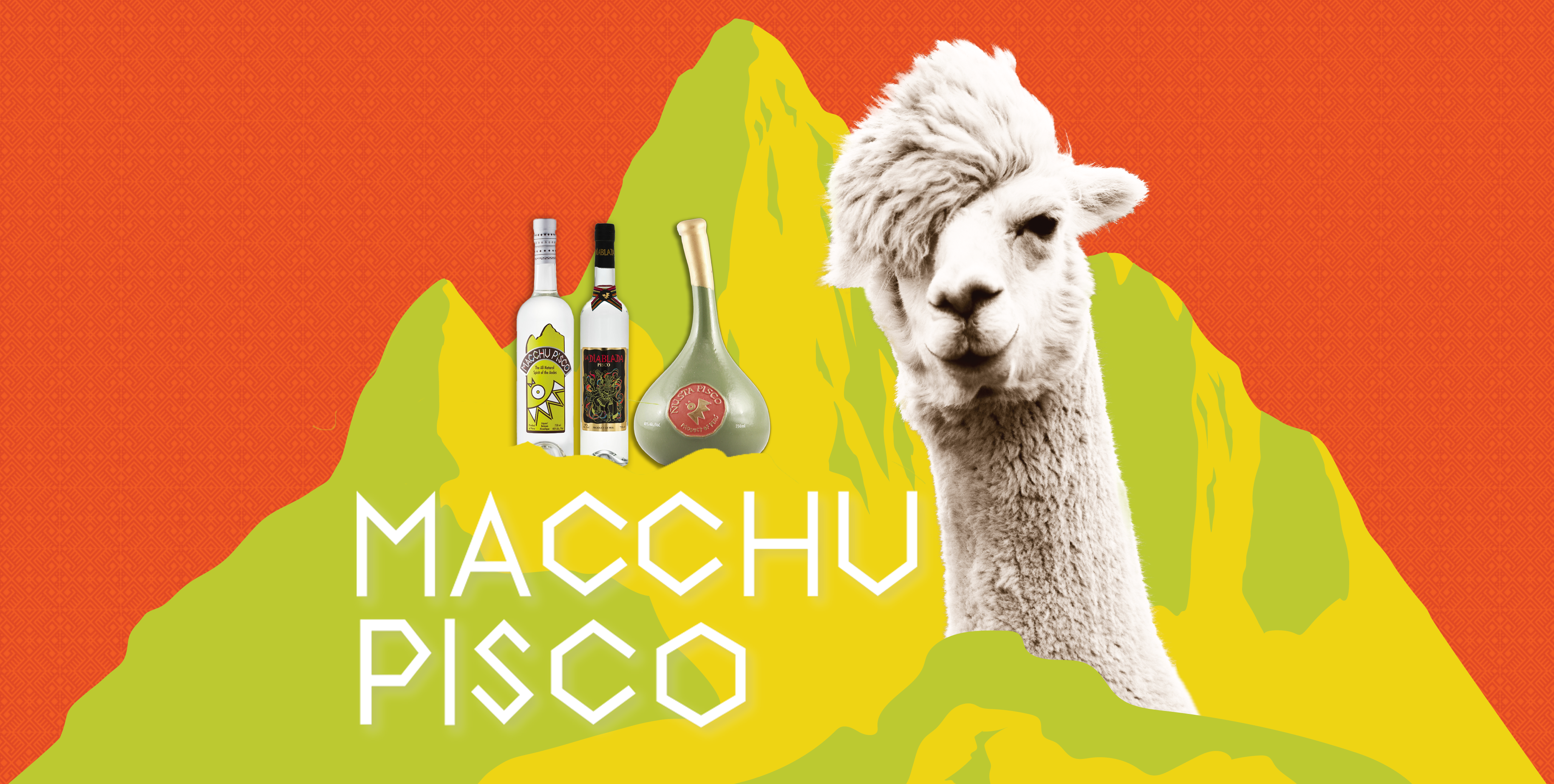 Pisco